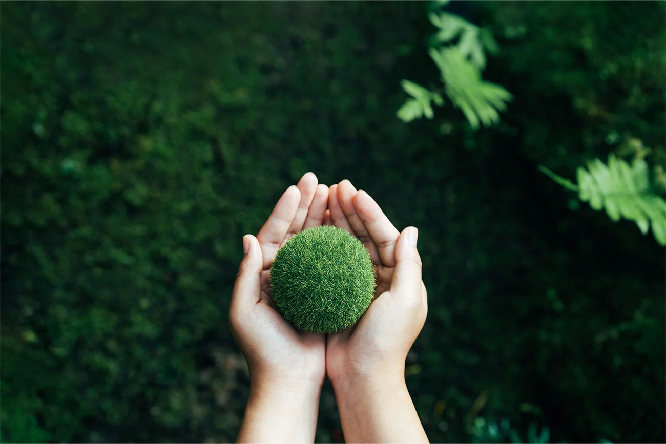 BASF y el Club de Excelencia en Sostenibilidad convocan los VI Premios a la mejor práctica de ...